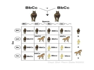 Gene Interaction.pptx