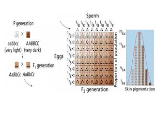 Gene Interaction.pptx