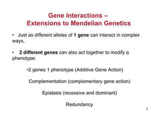 Gene Interaction.pdf