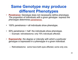 Gene Interaction.pdf