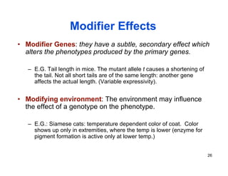 Gene Interaction.pdf