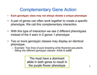 Gene Interaction.pdf