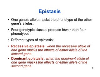 Gene Interaction.pdf