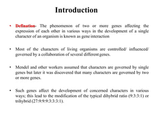 geneinteraction | PPT