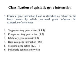 geneinteraction | PPT