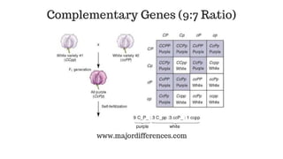 Principles of Genetics - Gene Interaction.pptx