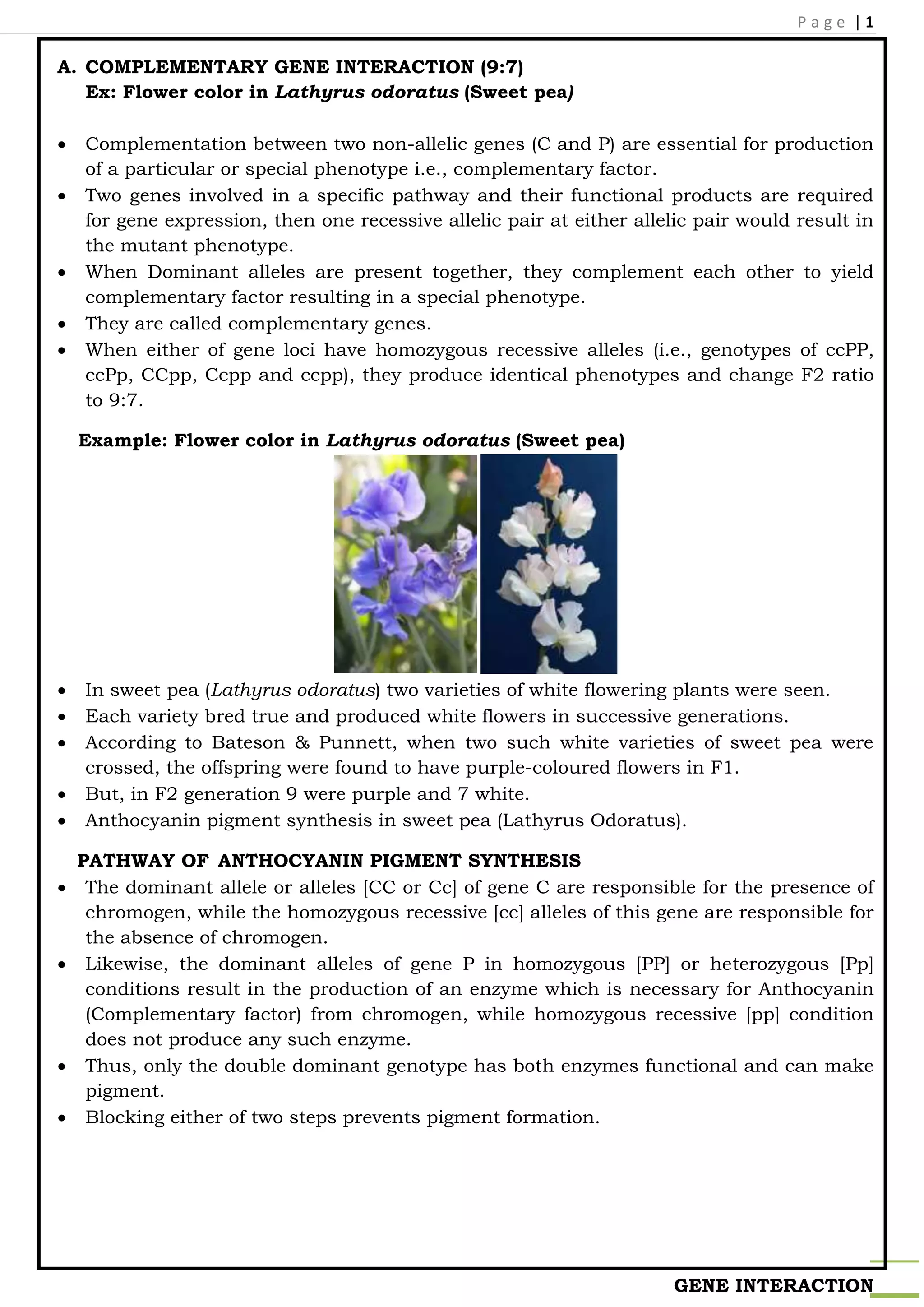 2. Gene interaction - complementary | PDF