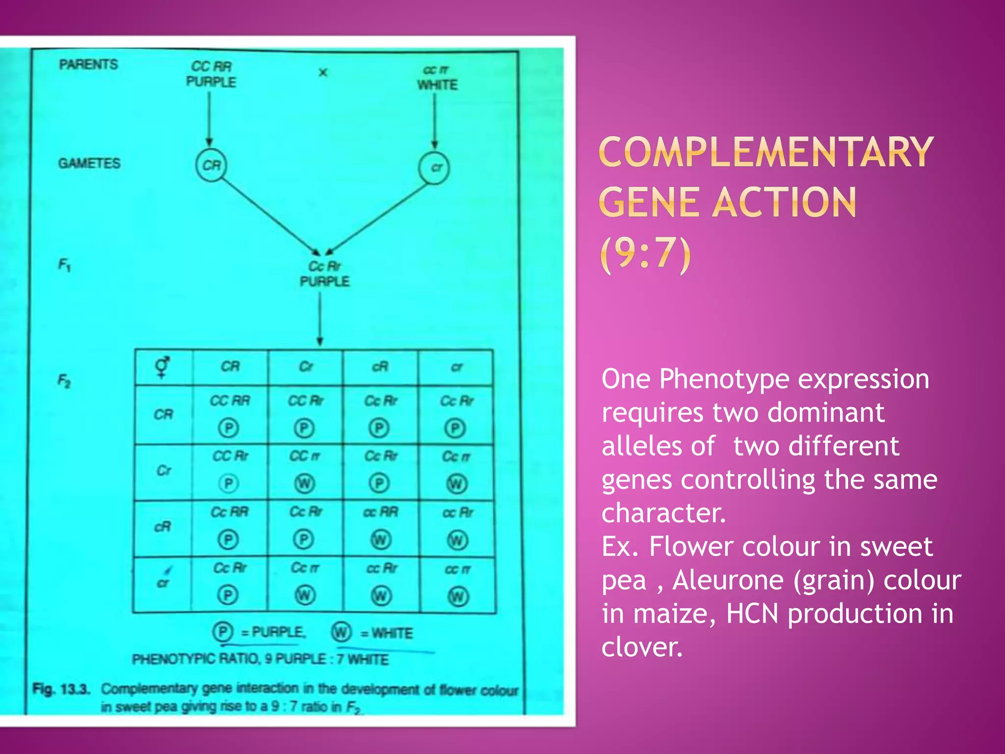 Gene interaction epistasis | PPTX