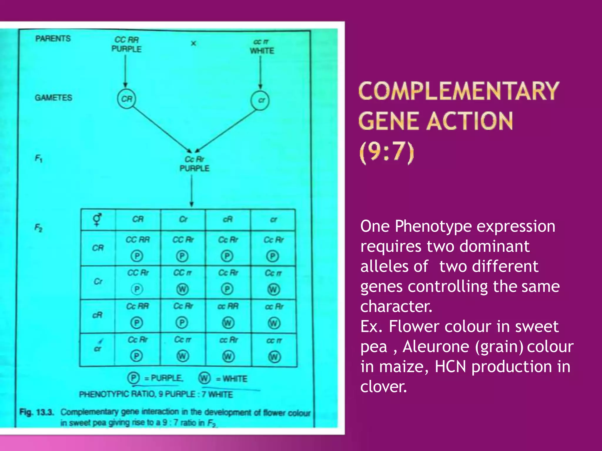 geneinteraction-epistasis-210427083033 ppt.pptx