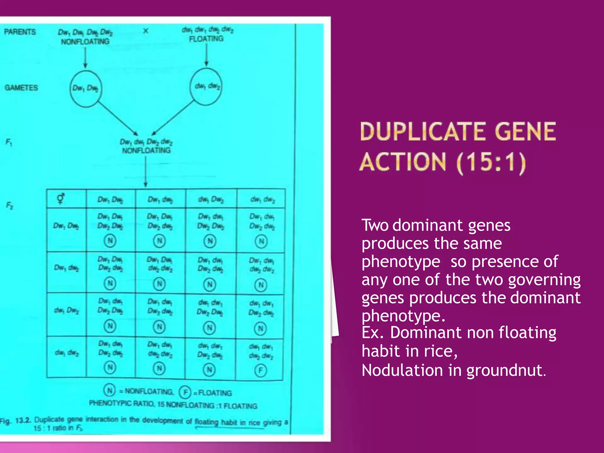 geneinteraction-epistasis-210427083033 ppt.pptx | Free Download