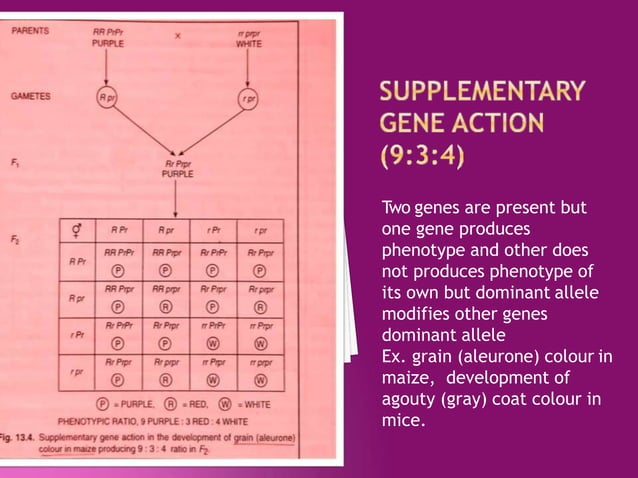 geneinteraction-epistasis-210427083033 ppt.pptx