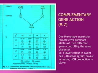 geneinteraction-epistasis-210427083033 ppt.pptx