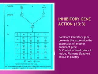 geneinteraction-epistasis-210427083033 ppt.pptx | Free Download