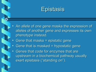 Gene interaction ns-w12 | PPT