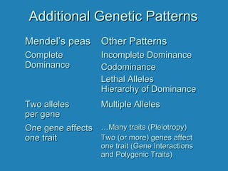 Gene interaction ns-w12 | PPT | Genetics | Science