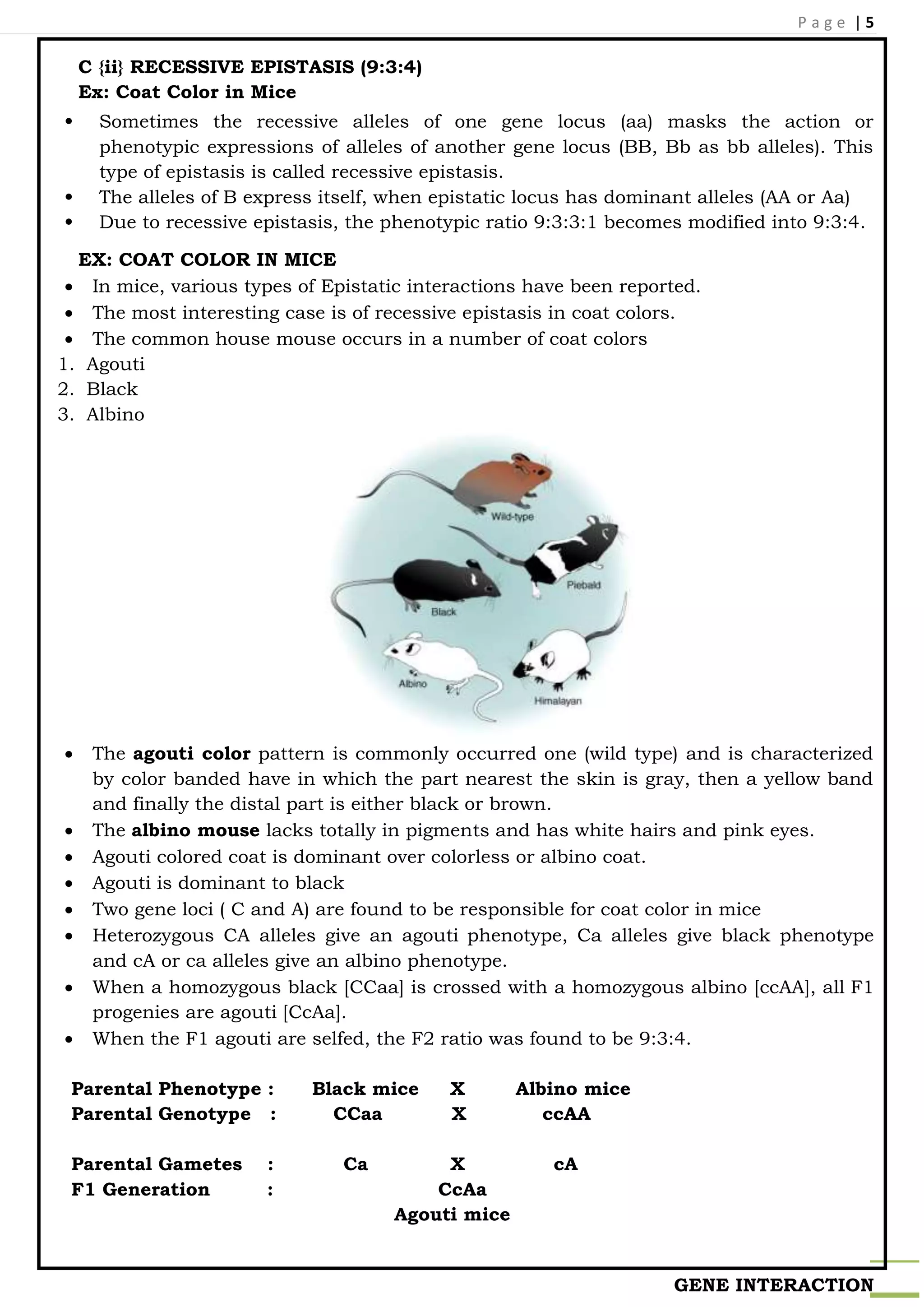 4. Gene interaction - Epistasis - Dominant & Recessive, Non-epistatsis ...