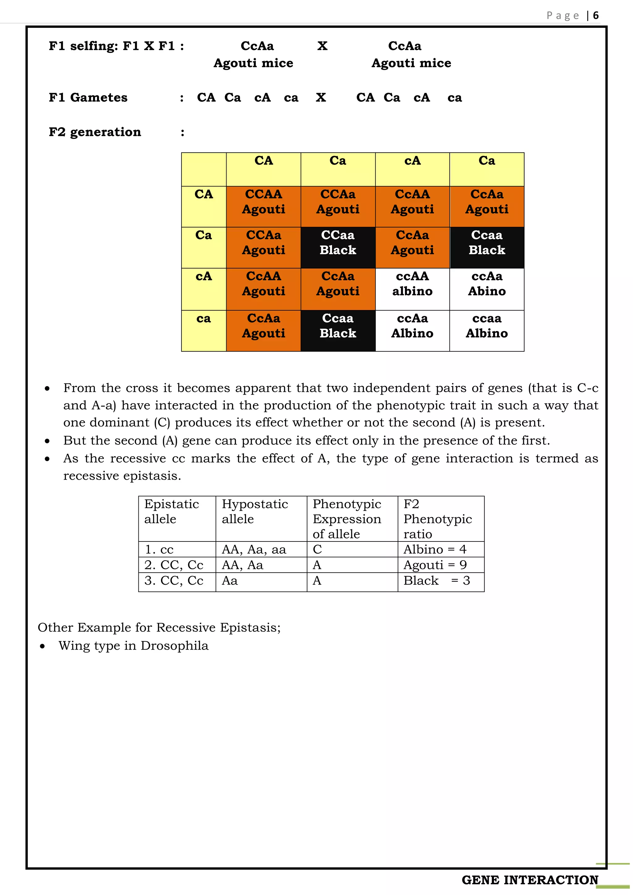 4. Gene interaction - Epistasis - Dominant & Recessive, Non-epistatsis ...