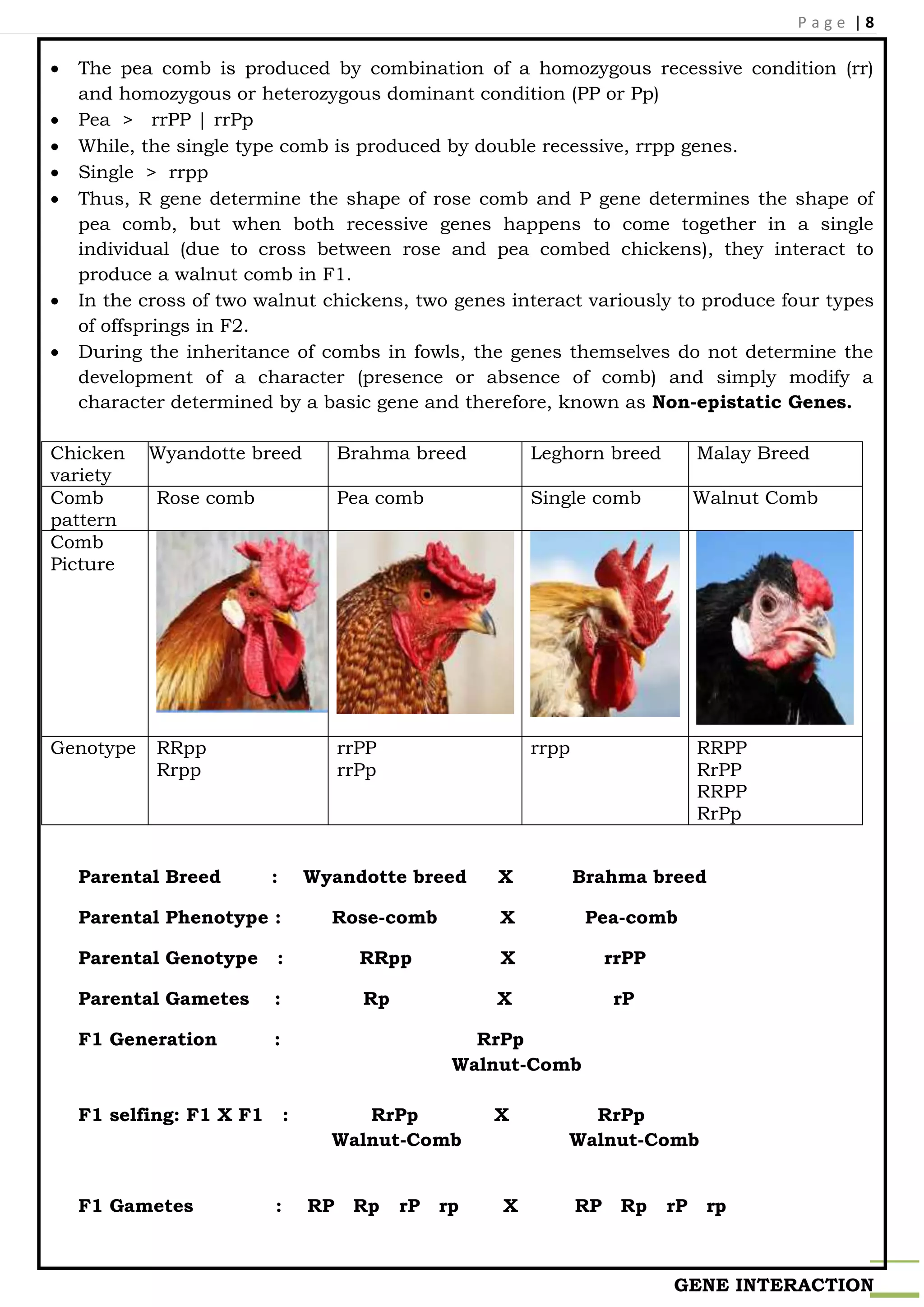 4. Gene interaction - Epistasis - Dominant & Recessive, Non-epistatsis ...