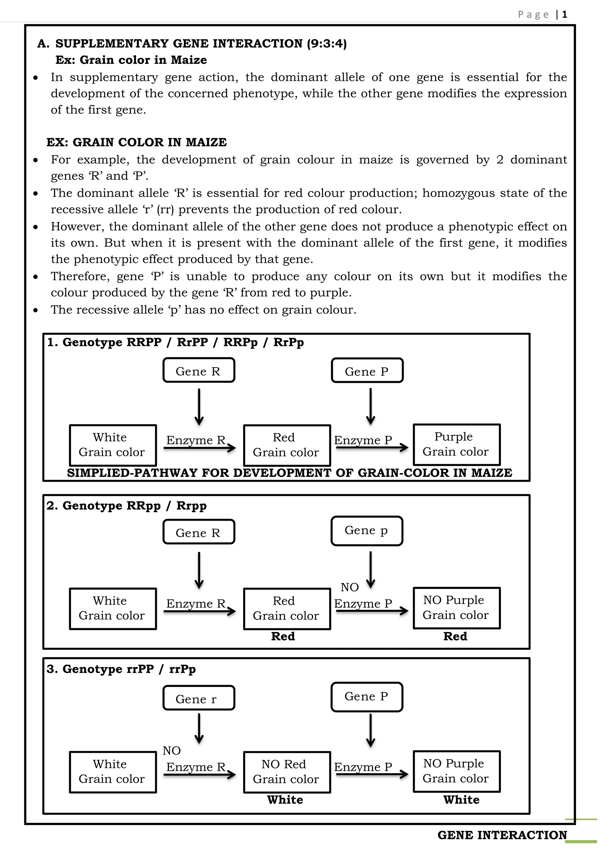 3. Gene interaction - supplementary | PDF