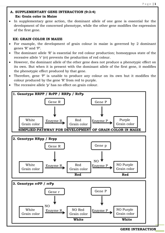 3. Gene interaction - supplementary | PDF