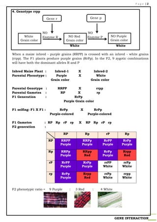 3. Gene interaction - supplementary | PDF