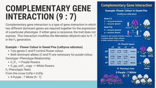 gene interaction also called as epistatic interactions and its types | PDF
