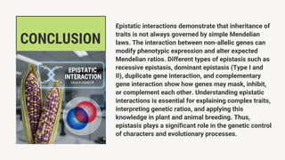 gene interaction also called as epistatic interactions and its types | PDF