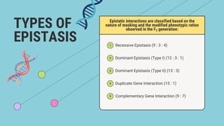 gene interaction also called as epistatic interactions and its types | PDF