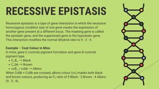gene interaction also called as epistatic interactions and its types | PDF