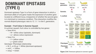 gene interaction also called as epistatic interactions and its types | PDF