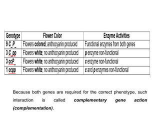 Gene interaction ppt | PPTX