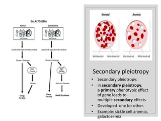 Gene interaction ppt | PPTX