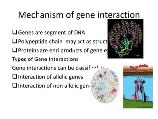 Gene interaction ppt | PPTX