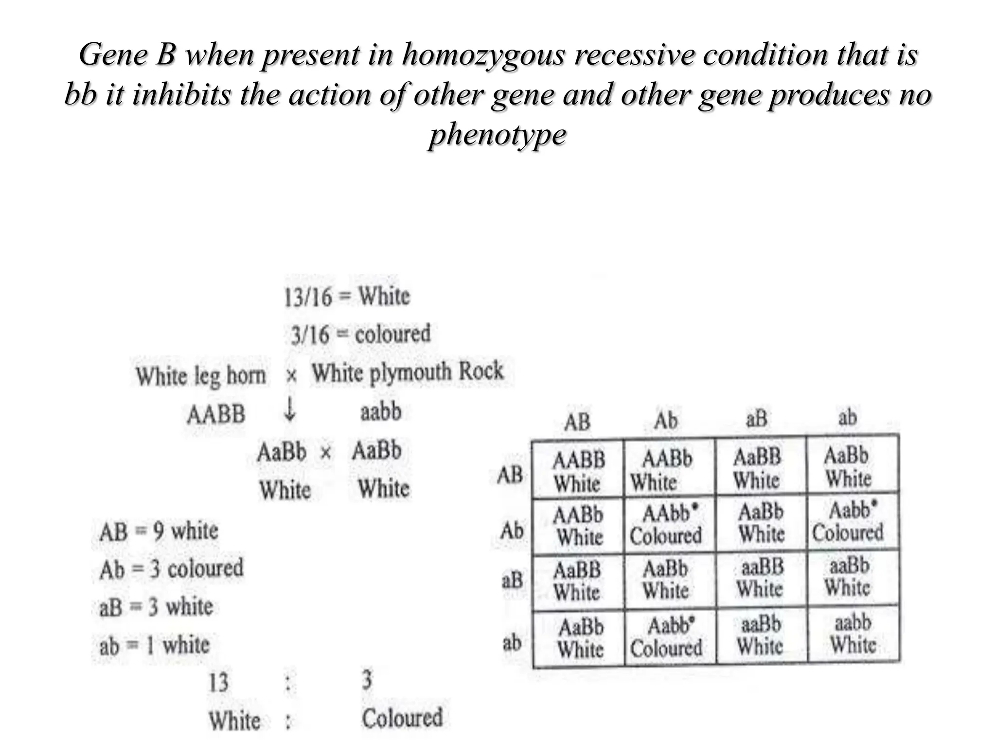 Gene Interaction ppt.pptx ....... incomplete dominance | PPTX