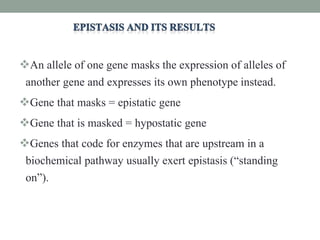 Gene interaction ppt | PPTX