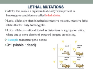 Gene interaction ppt | PPTX