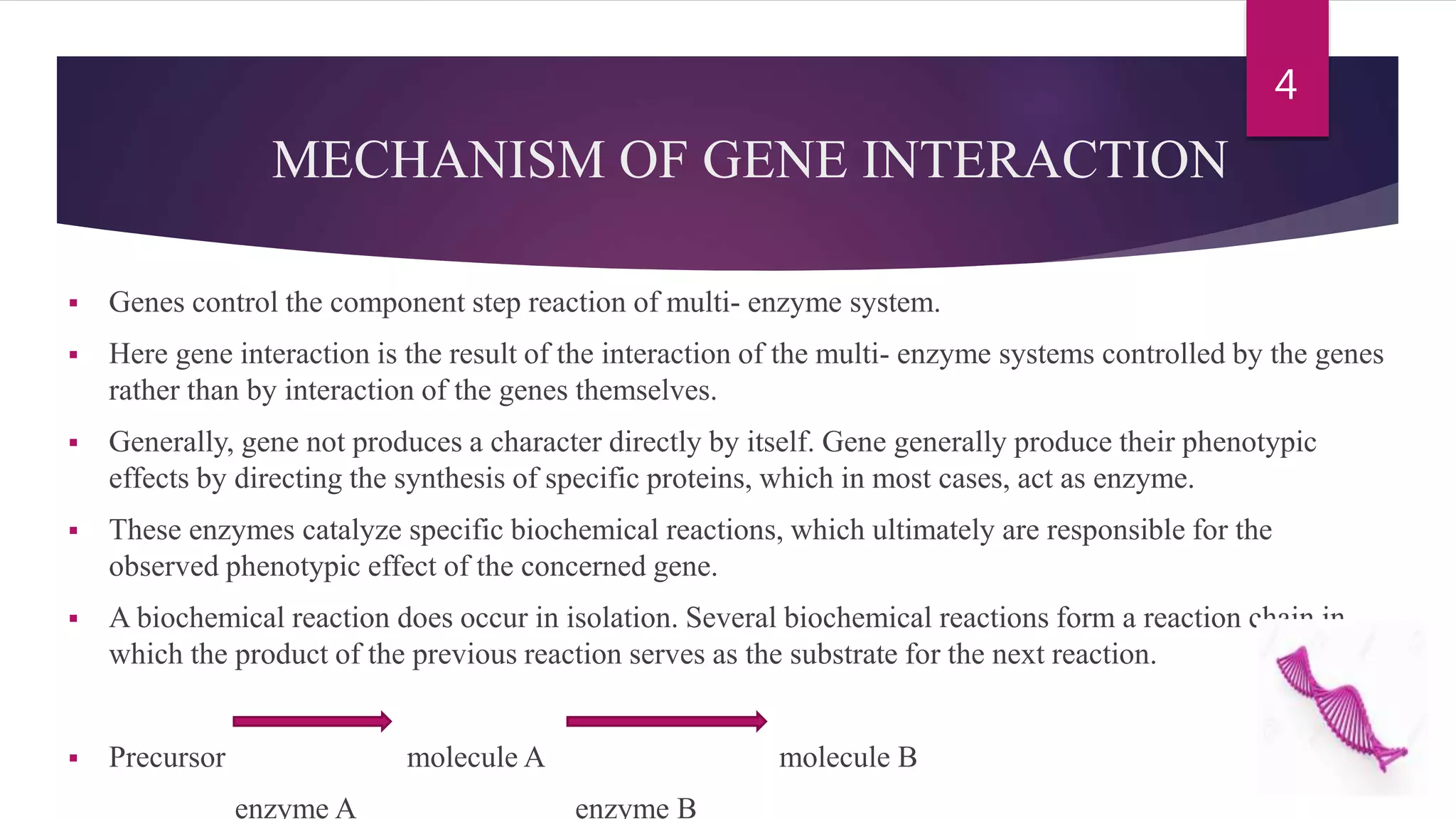 Gene interactions | PPTX