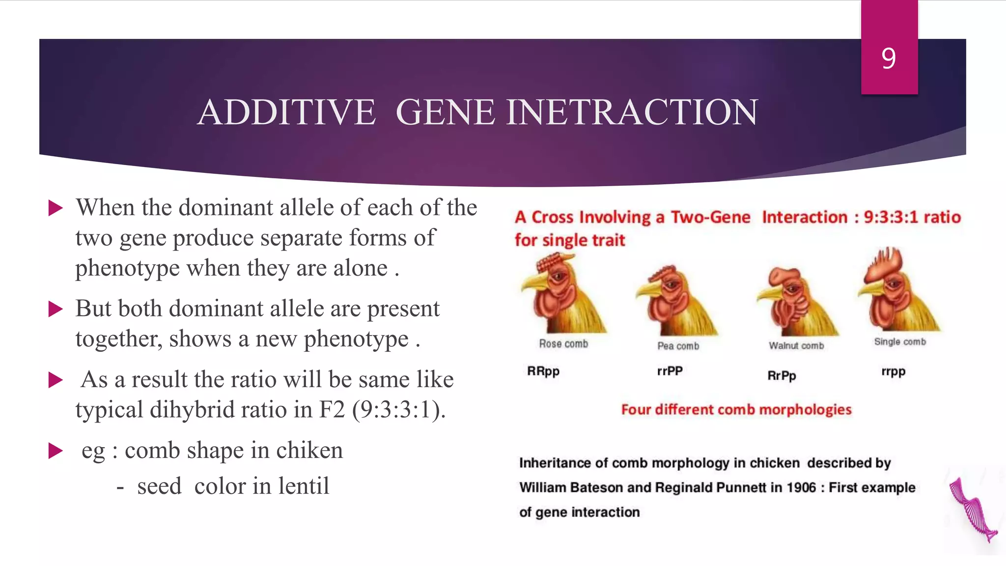 Gene interactions | PPTX