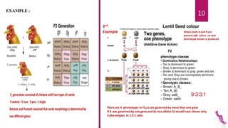 Gene interactions | PPTX | Genetics | Science