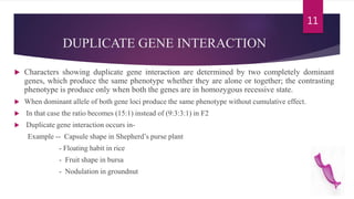 Gene interactions | PPTX | Genetics | Science