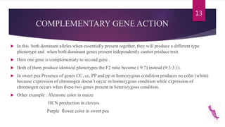 Gene interactions | PPTX | Genetics | Science