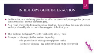 Gene interactions | PPTX