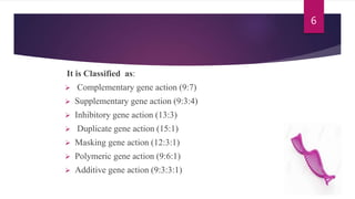 Gene interactions | PPTX | Genetics | Science