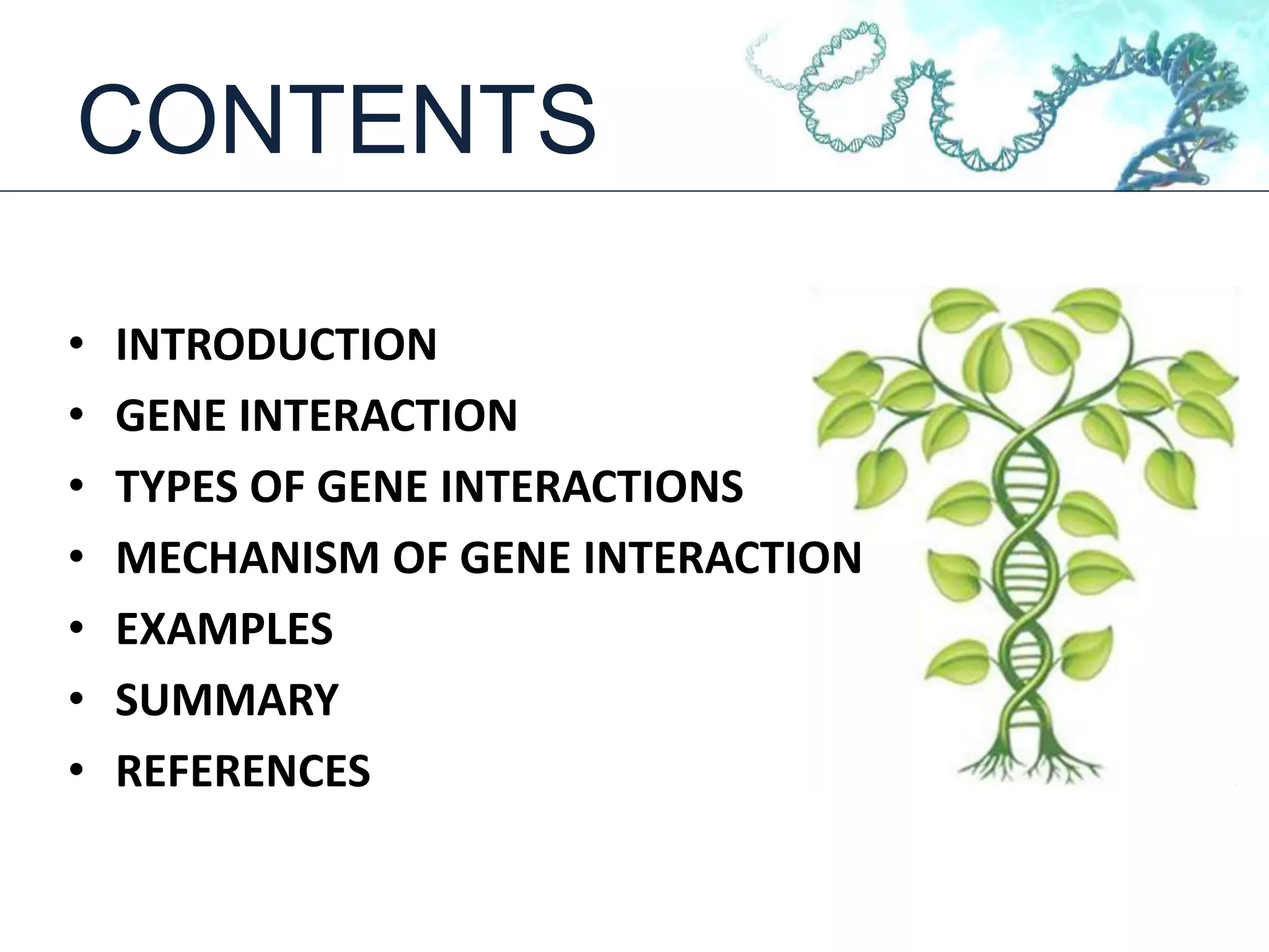 Gene interactions | PPTX