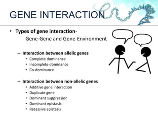 Gene interactions | PPTX