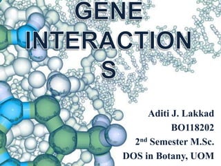 Gene Interaction Types & Mechanisms | PPT
