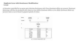 Gene interactions | PPTX