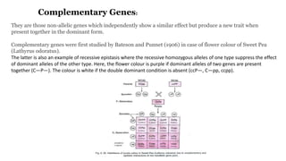 Gene interactions | PPTX