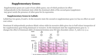 Gene interactions | PPTX