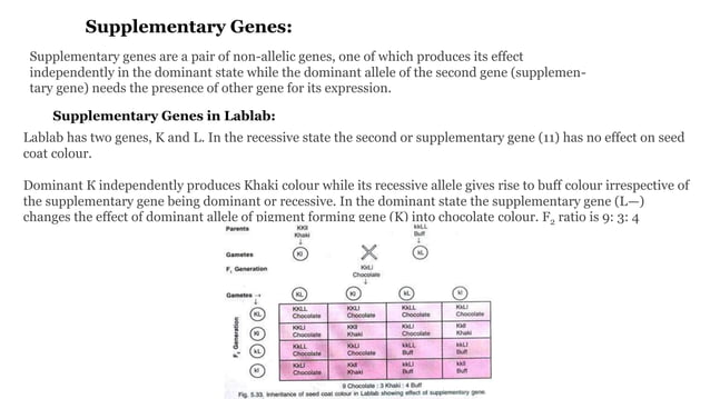 Gene interactions | PPTX